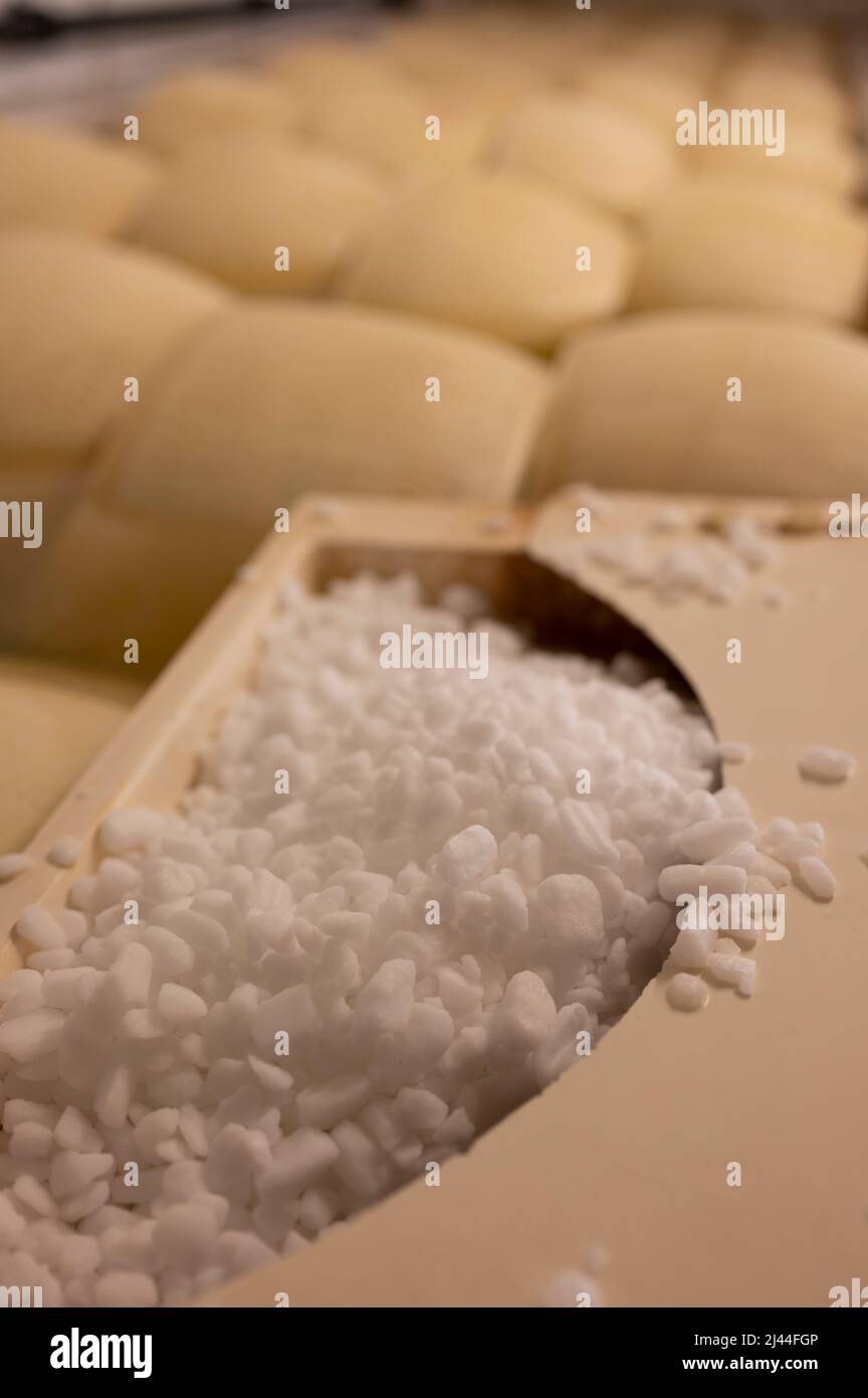 Process of making parmigiano-reggiano parmesan hard cheese on small ...