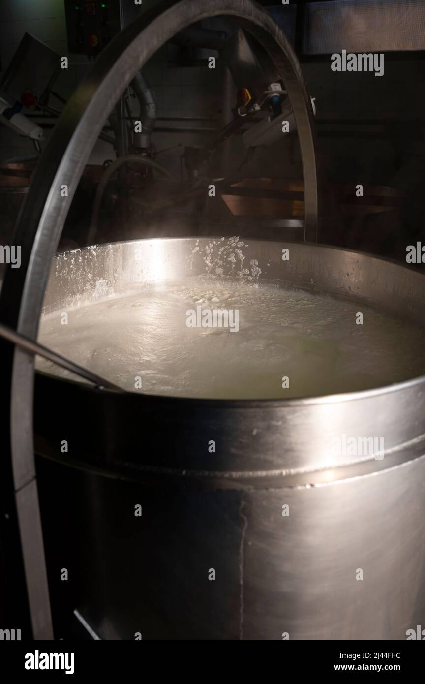 Process of making fresh white soft ricotta whey cheese early morning on ...