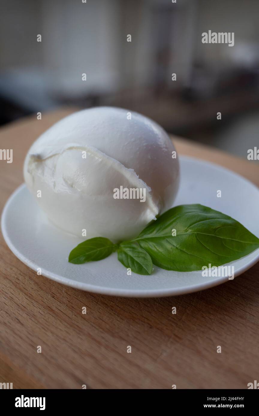 White ball of Italian soft cheese Mozzarella di Bufala Campana and ...