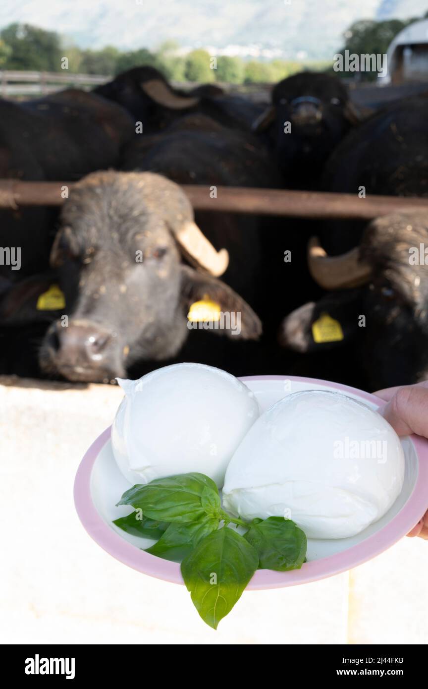 Campaña italiana hi-res stock photography and images - Alamy