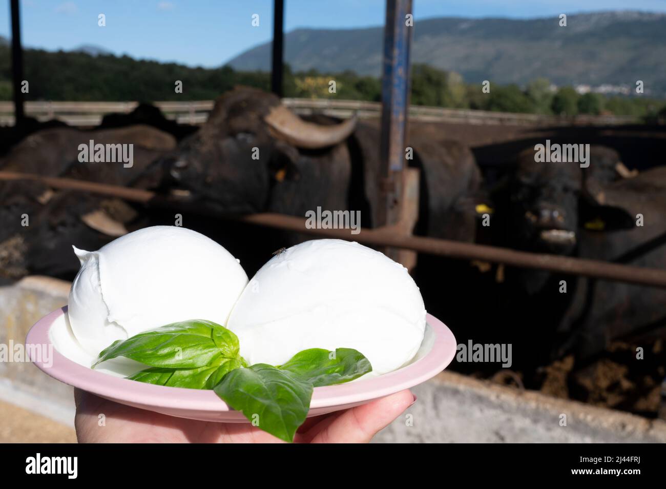 Campaña italiana hi-res stock photography and images - Alamy