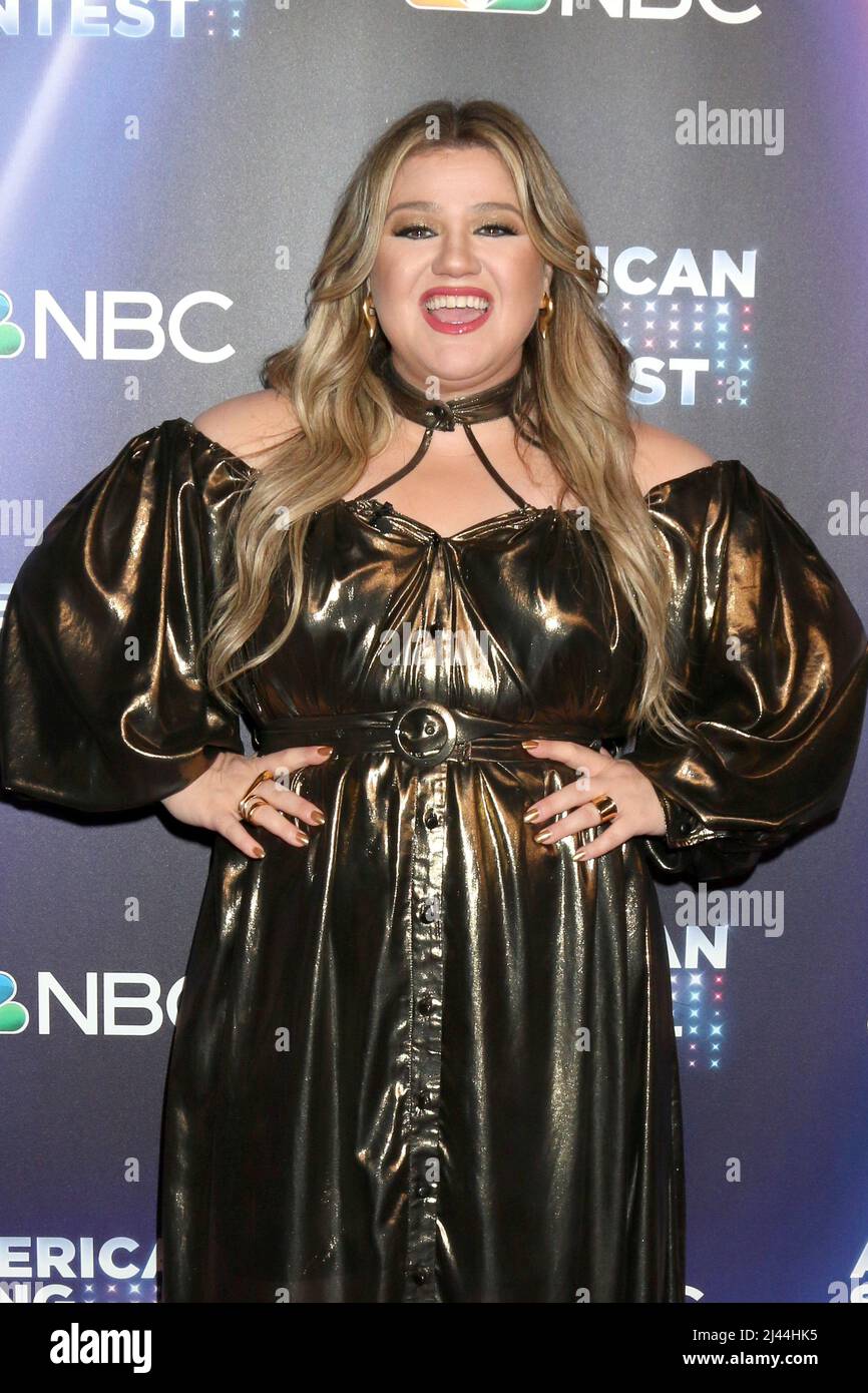 Kelly Clarkson Fat 2022