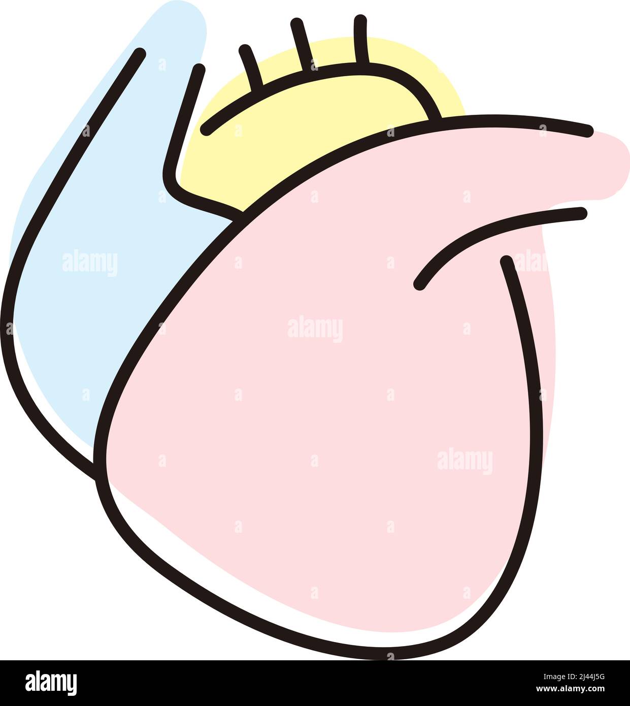 Realistic heart line art Cut Out Stock Images & Pictures - Alamy