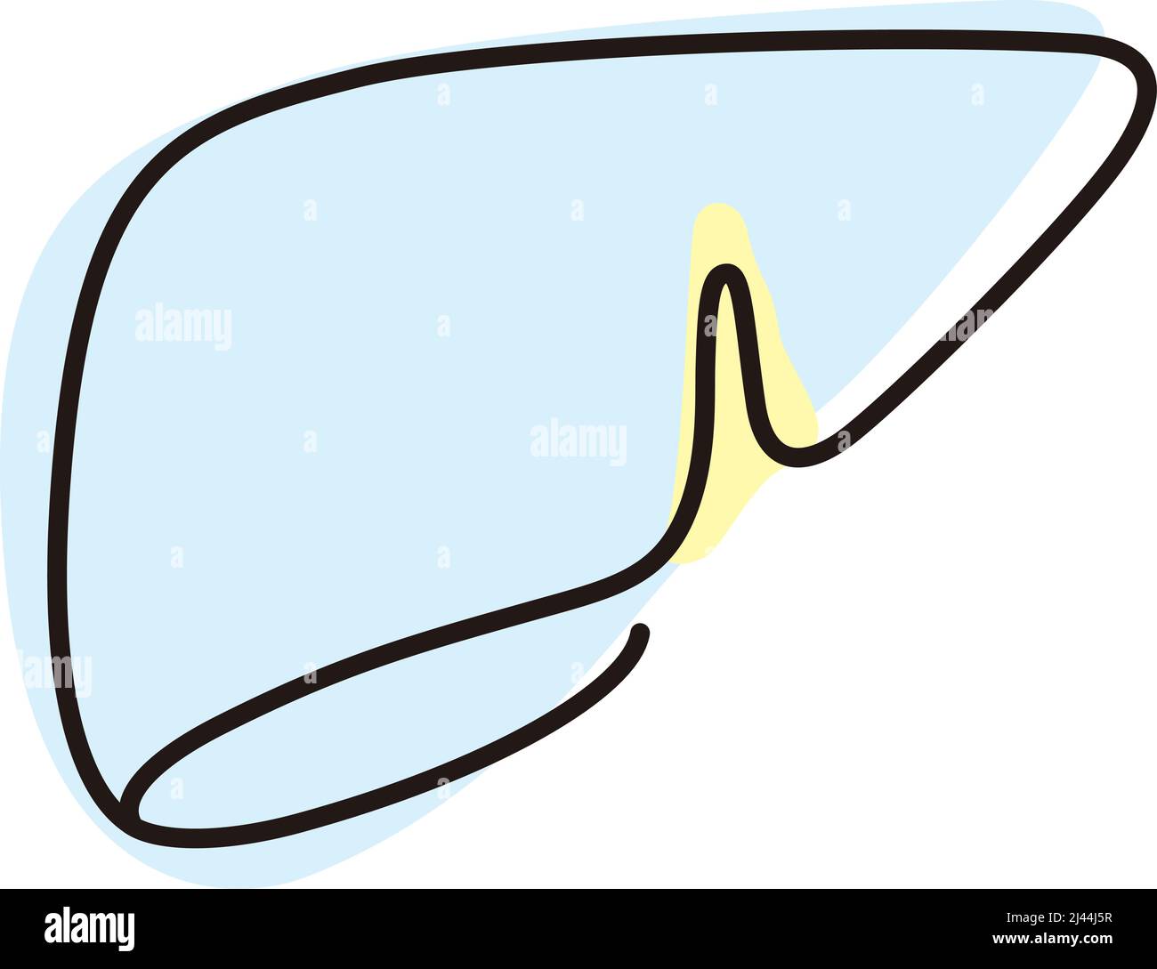 Human liver icon linear hi-res stock photography and images - Alamy