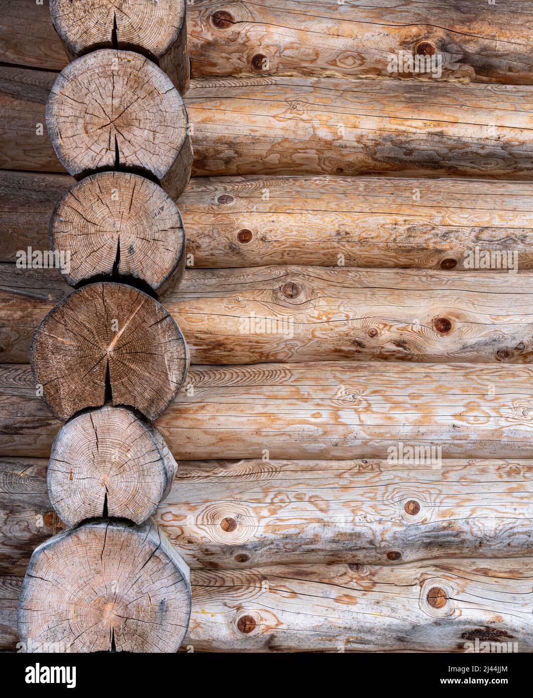 Log Cabin Wall Texture