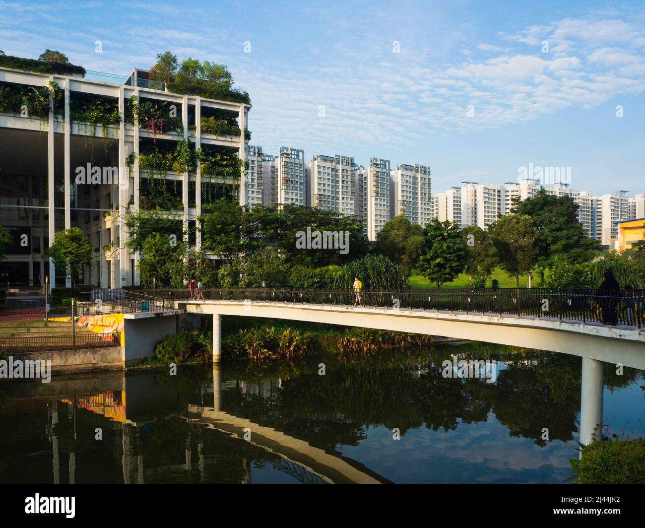 Punggol bridge hi-res stock photography and images - Alamy