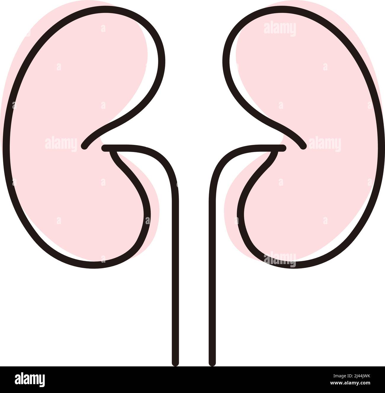 Organ minimalist icon Cut Out Stock Images & Pictures - Alamy