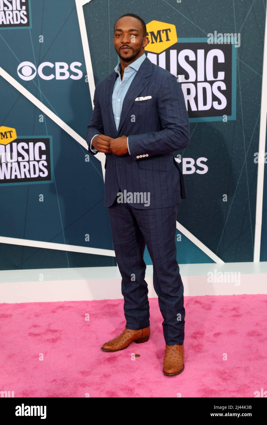 Anthony mackle hi-res stock photography and images - Alamy