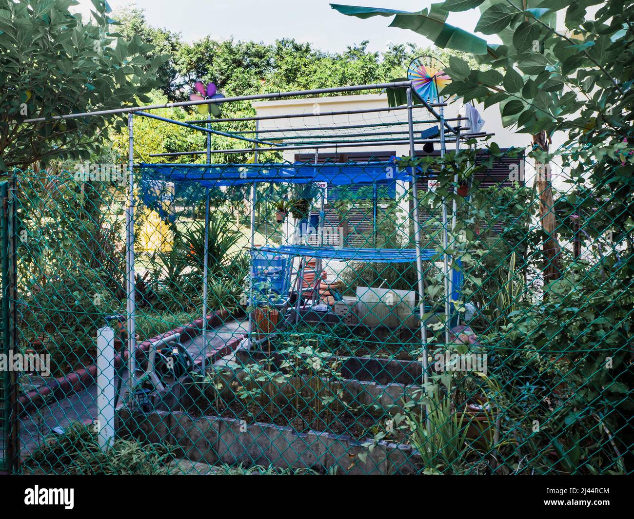 Community garden with edible plants and fruits planted by the residents ...