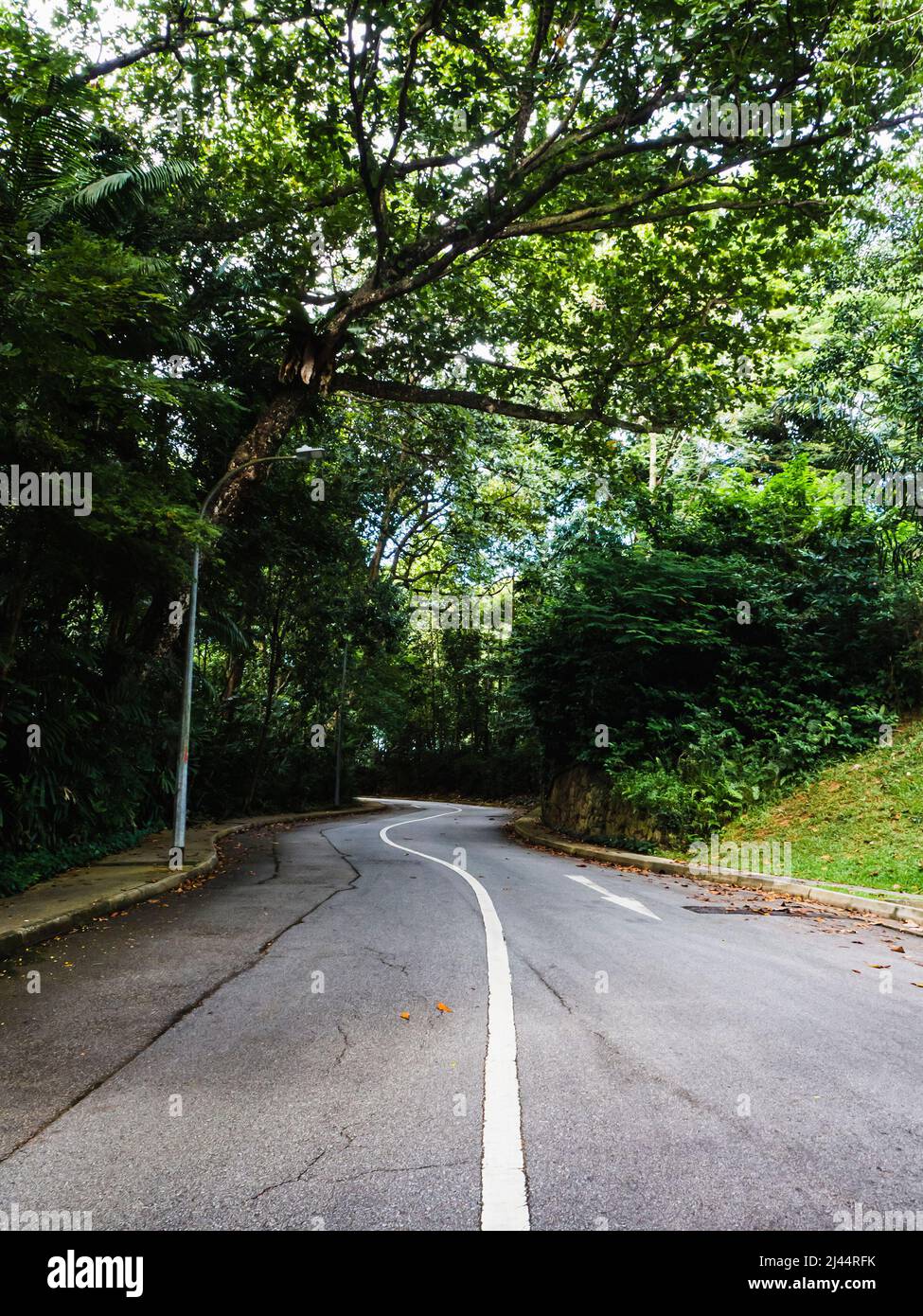 Long winding road surrounded hi-res stock photography and images - Alamy