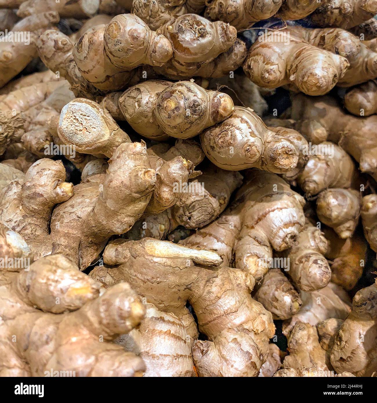 Ginger, close-ups. Lots of roots. Texture background Stock Photo - Alamy