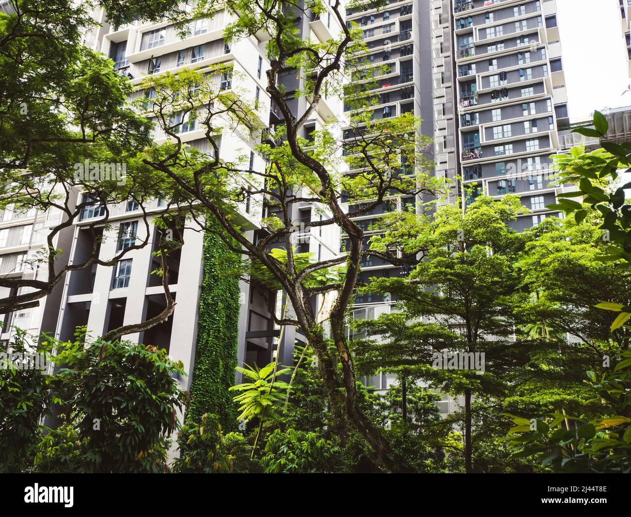 Modern apartments surrounded by trees and nature Stock Photo - Alamy