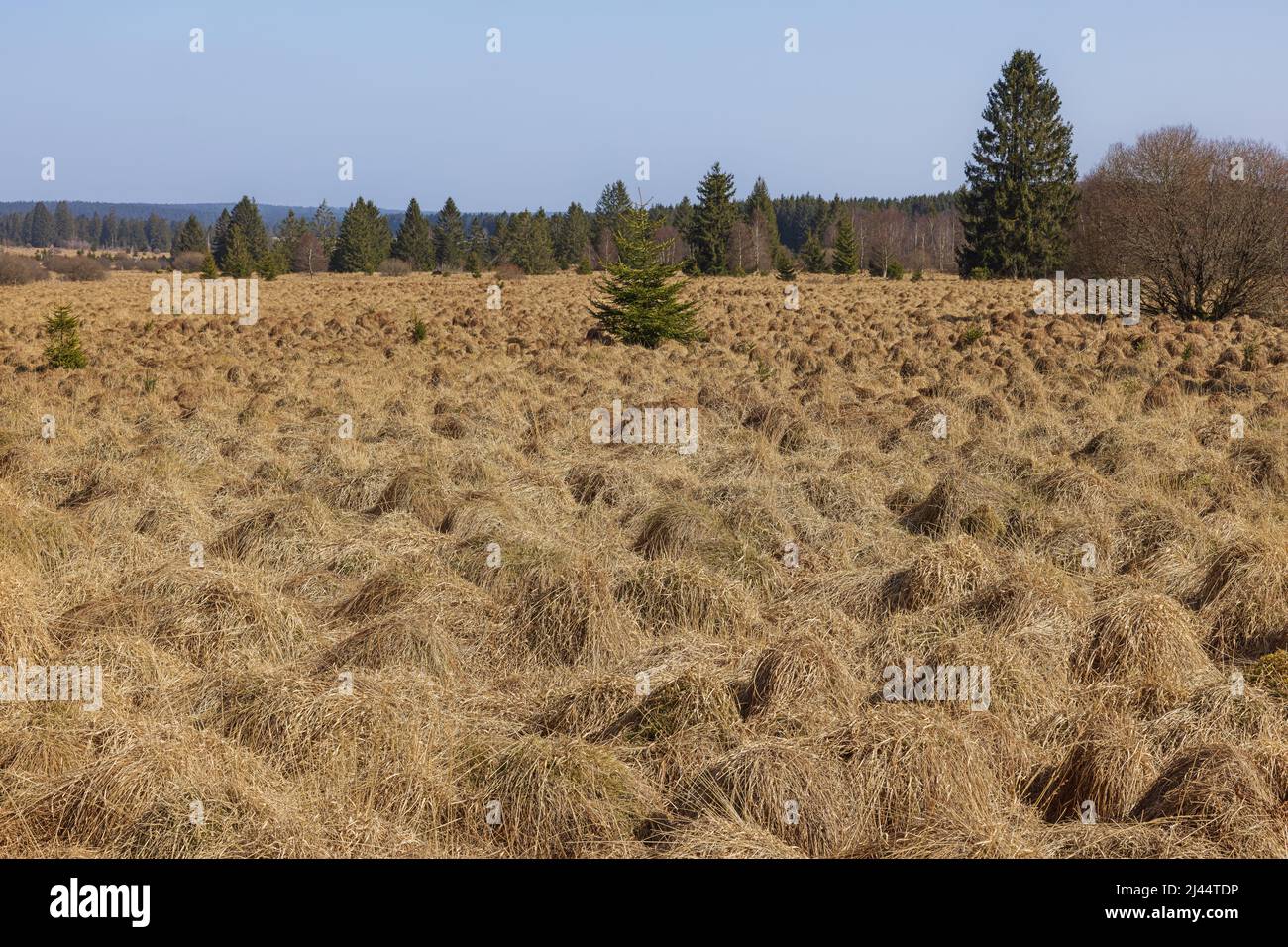 High fens nature park hi-res stock photography and images - Alamy