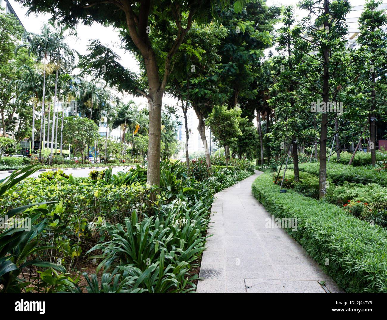 Scenic walkway in the city amongst trees and greenery Stock Photo - Alamy