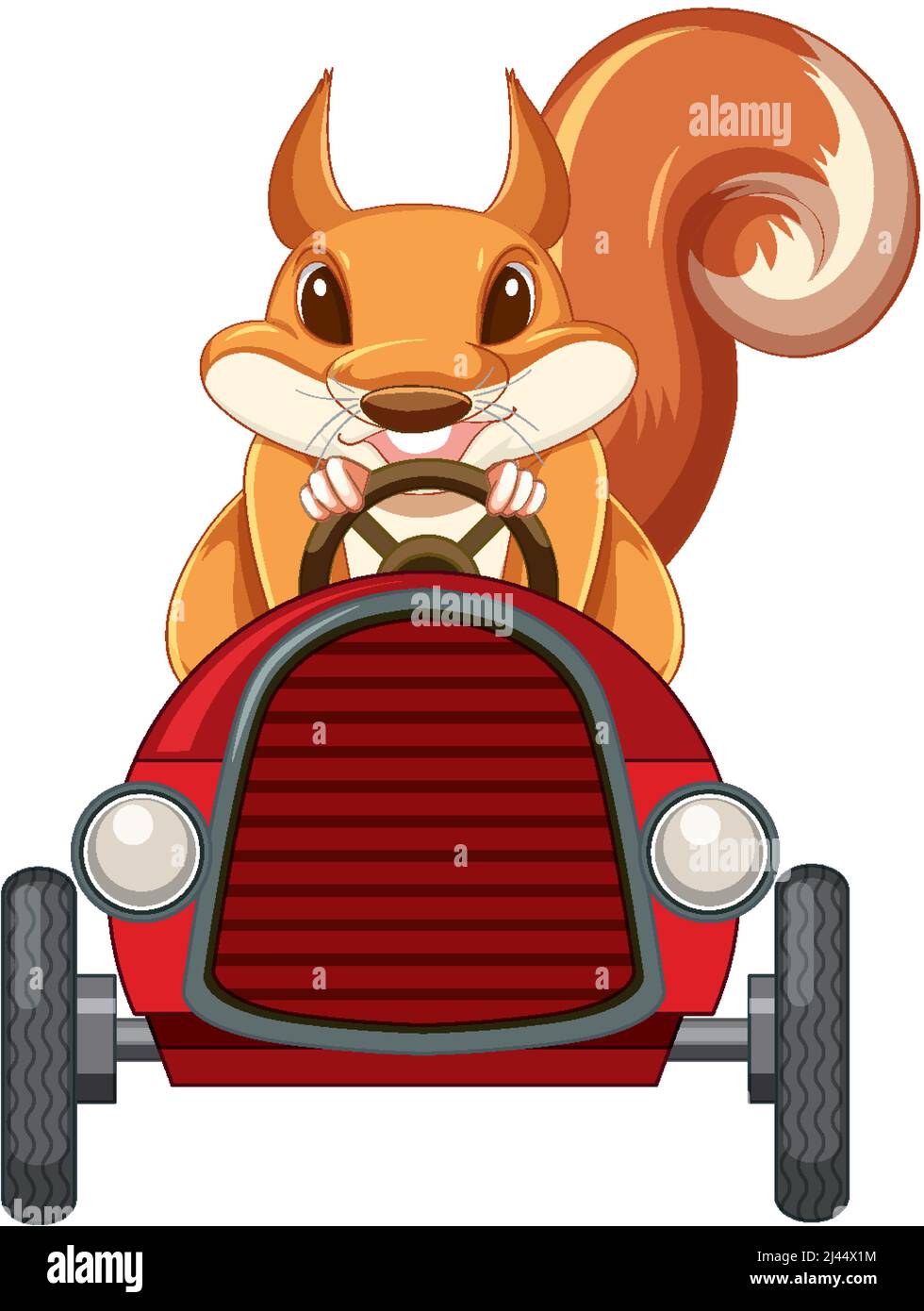 Squirrel driving red car illustration Stock Vector Image & Art - Alamy