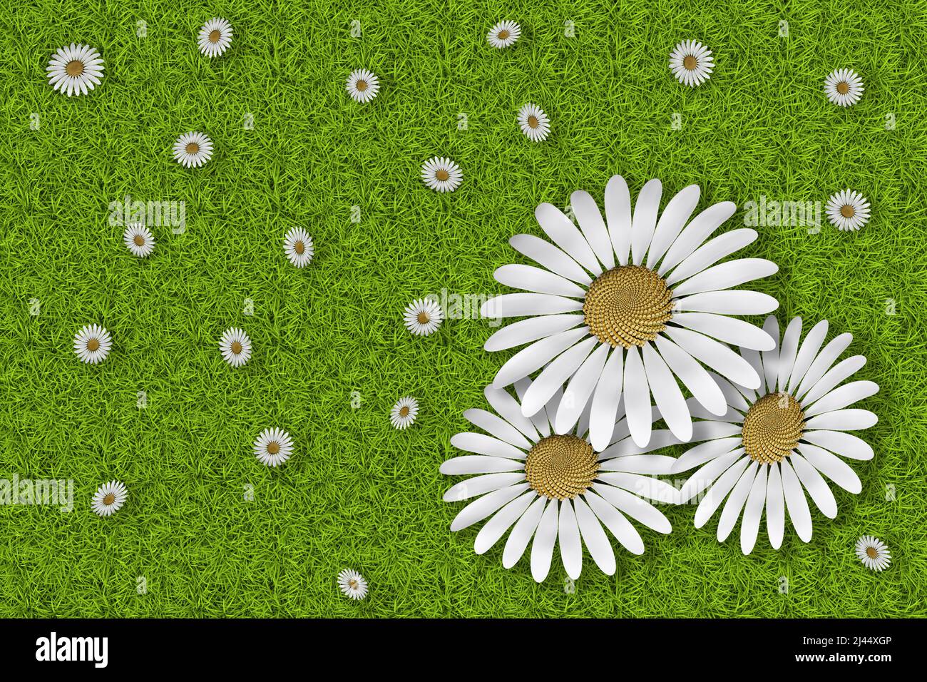 3d illustration. Spring Summer. Flowers, blossom on green grass texture ...
