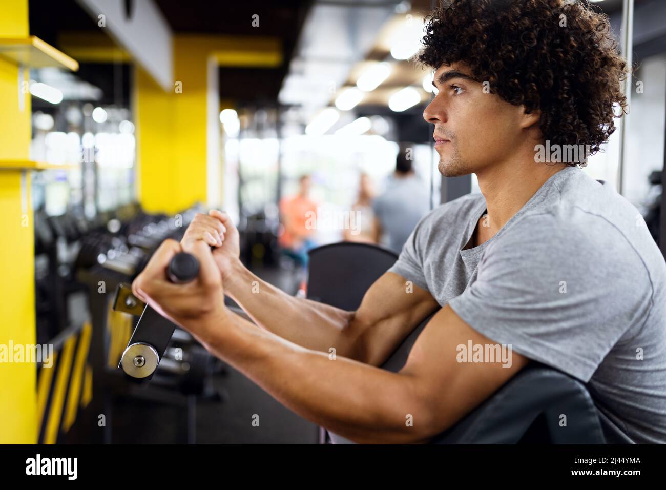 Portrait of fit man working out in gym. Sport people healthy lifestyle ...