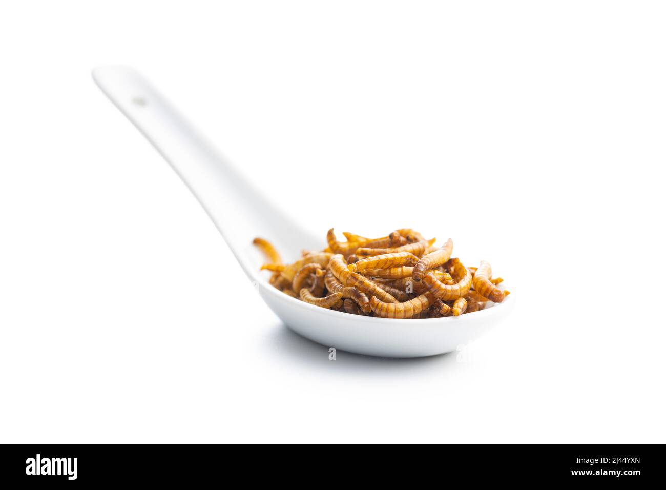 Fried salty worms in spoon. Roasted mealworms isolated on white ...