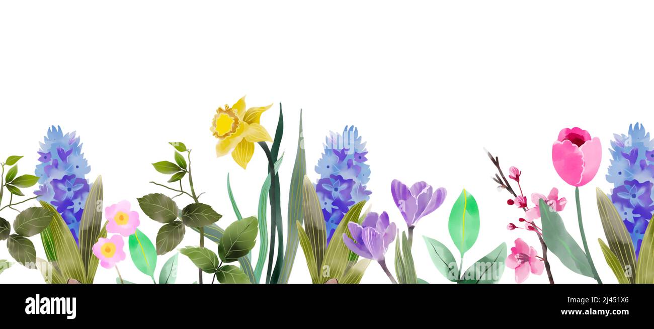 Spring flowers banner illustration botanical watercolor web border for ...