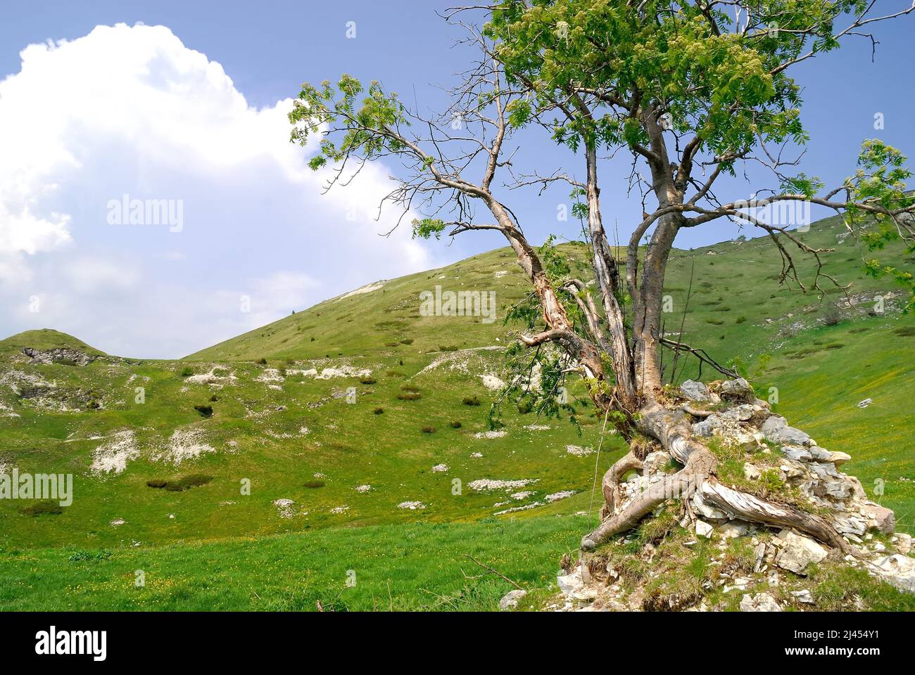 Ww iwar cemetery hi-res stock photography and images - Alamy