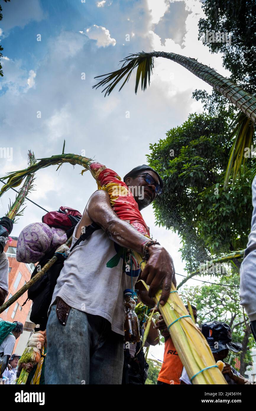 The palmeros of Chacao return to their traditional palm parade, after 2 ...