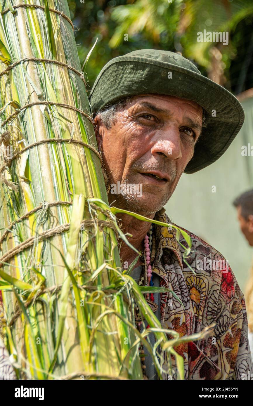 The palmeros of Chacao return to their traditional palm parade, after 2 ...