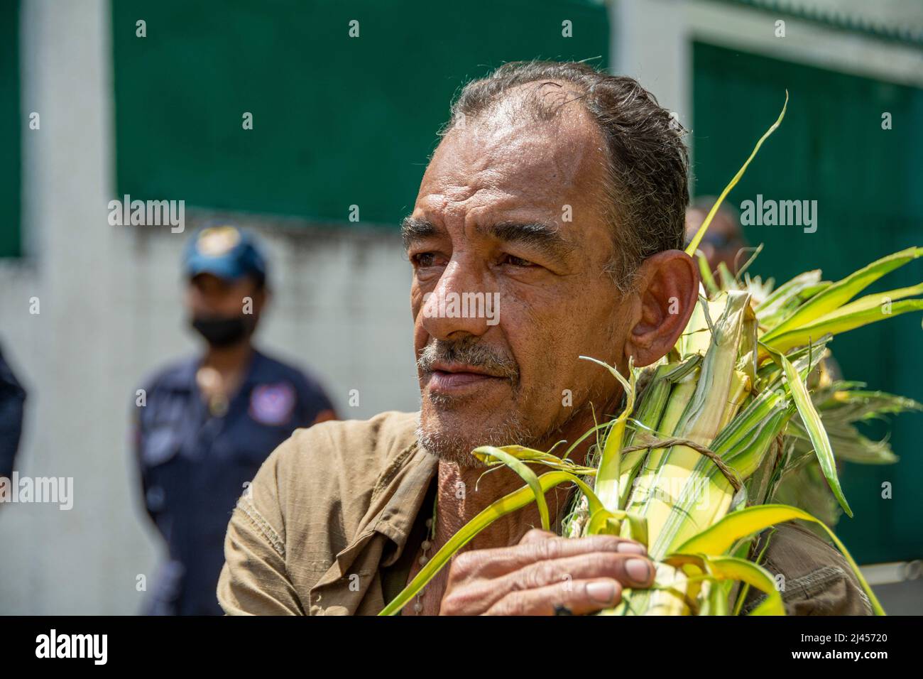 The palmeros of Chacao return to their traditional palm parade, after 2 ...