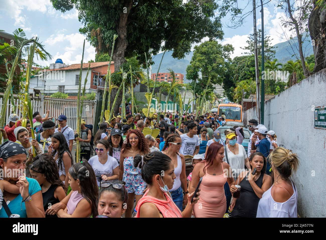 The palmeros of Chacao return to their traditional palm parade, after 2 ...