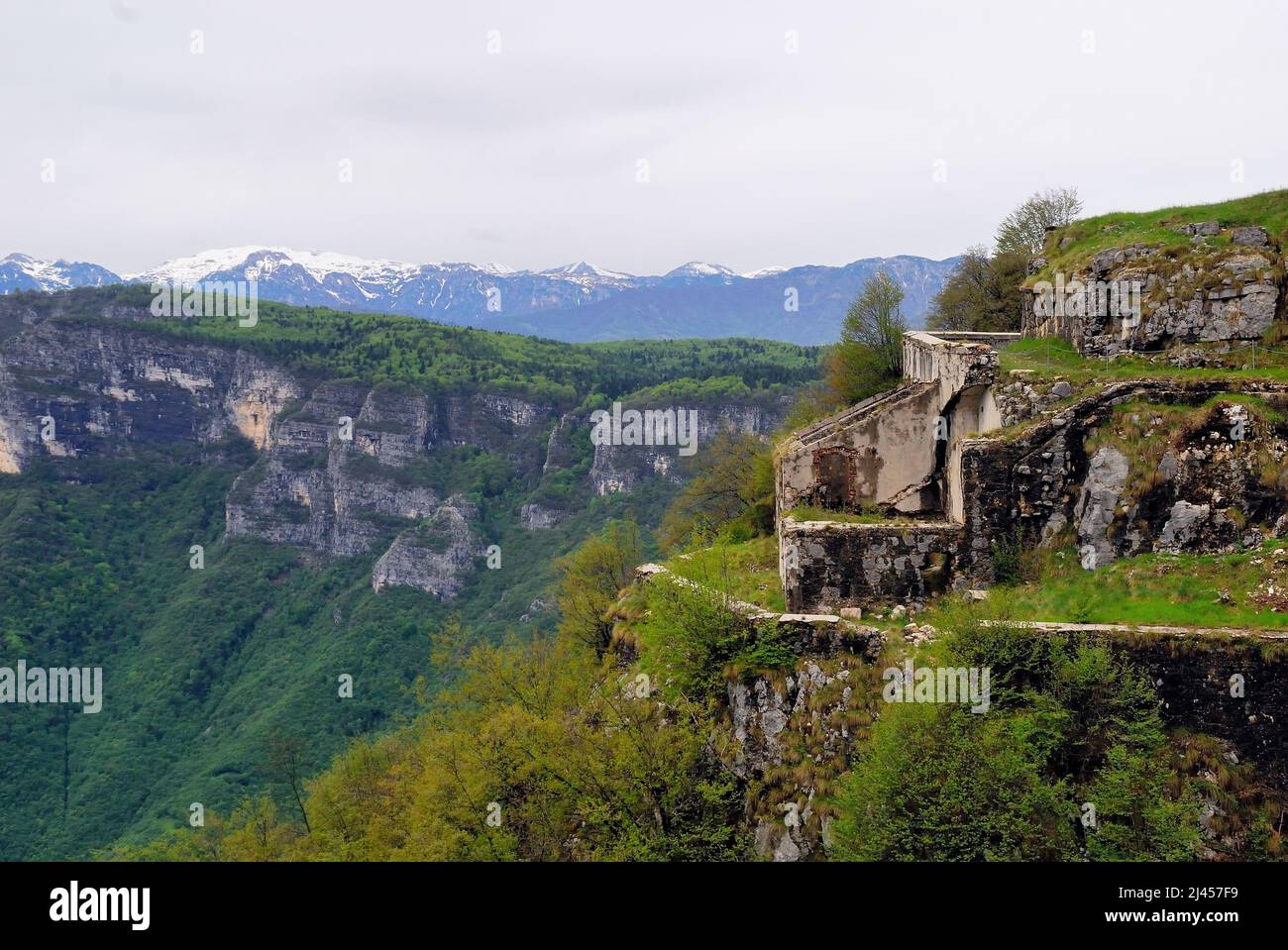 Fine di ww1 wwi hi-res stock photography and images - Alamy