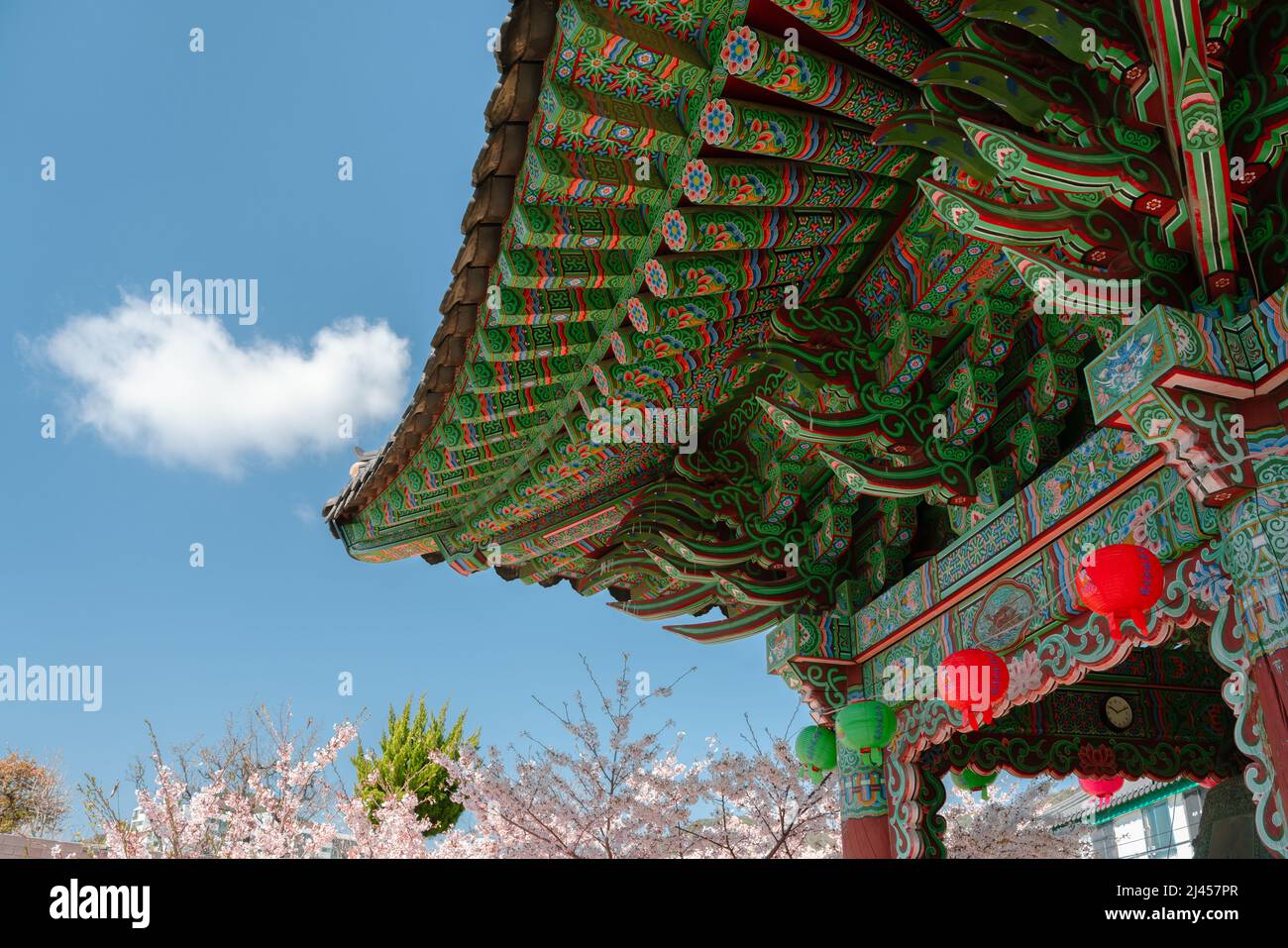 Haeundae Haeunjeongsa temple with cherry blossoms in Busan, Korea Stock ...