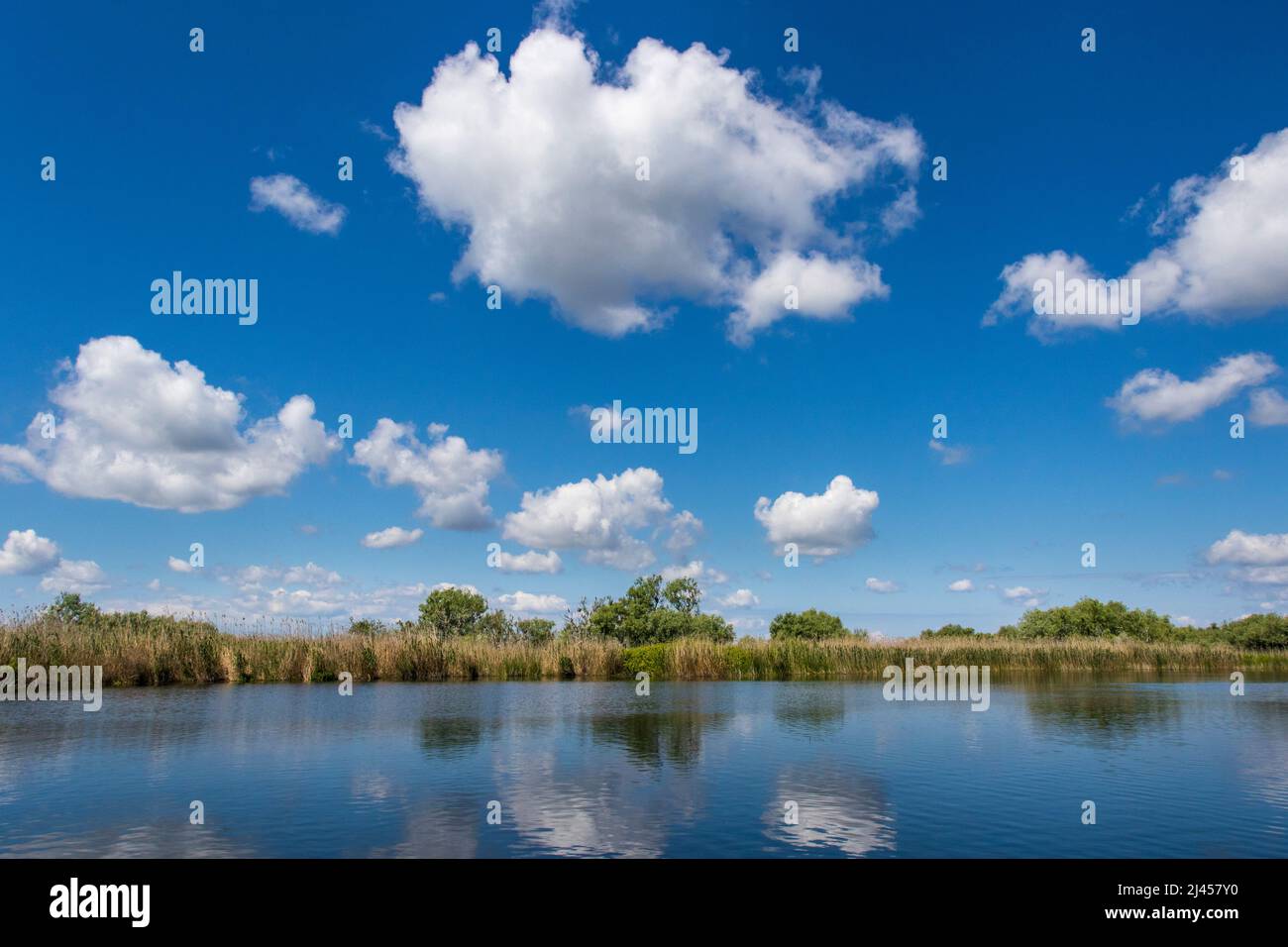 Donauexkursion hi-res stock photography and images - Alamy