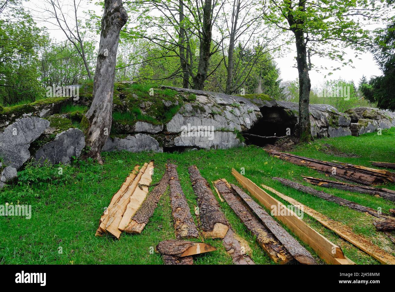 WWI. Asiago plateau, Veneto, Italy. An Italian armored trench Stock ...