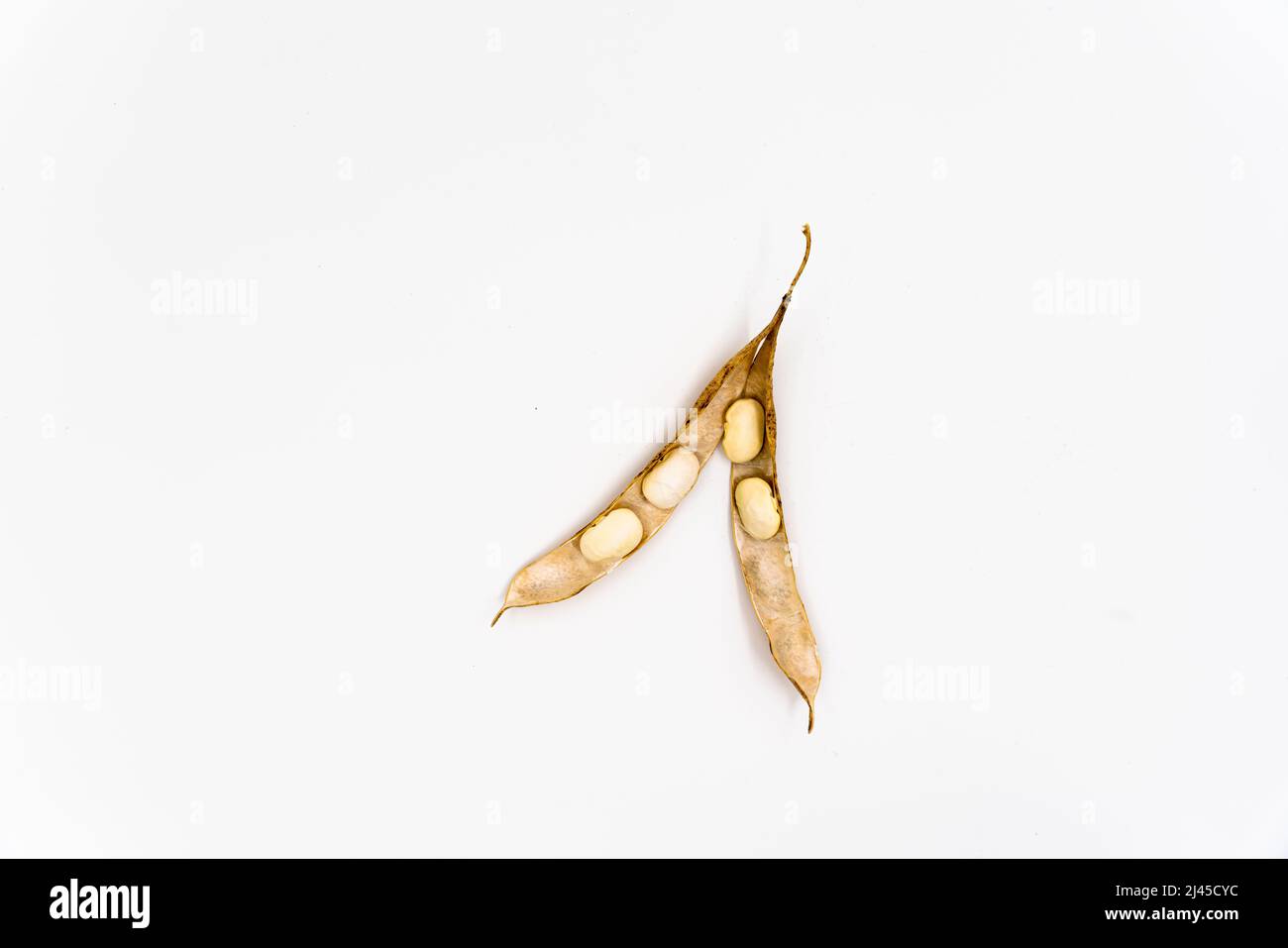 Dried beans isolated on white background. bean pods. High quality photo ...