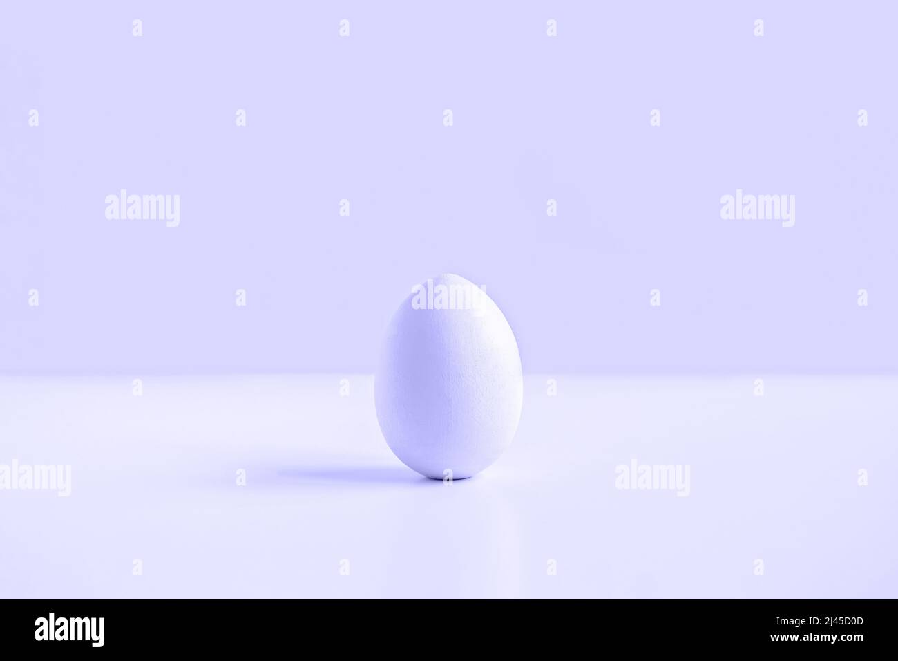 One Easter egg on violet background with copy space for text. Easter ...