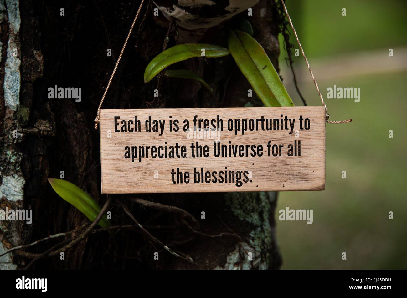 Motivational and inspirational quote text on wooden block - Each day is ...