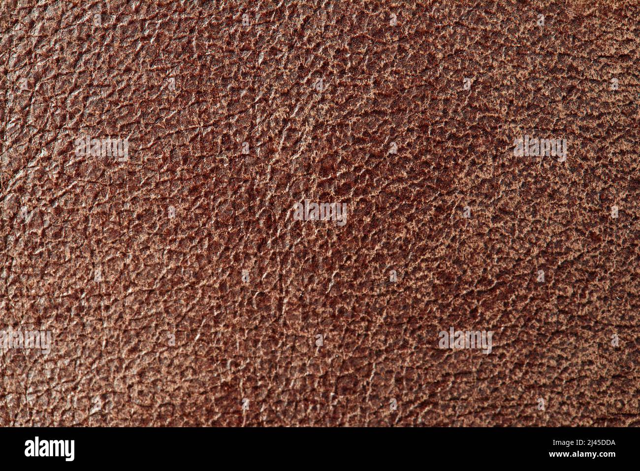 Deep brown leather texture. Skin pattern background Stock Photo - Alamy