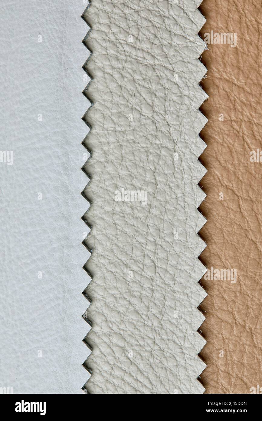 close up leather fabric catalog for interior uphostery works in light ...