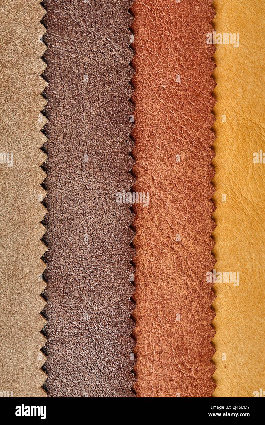 Sample of leather textile brown colors, background. Catalog and swatch ...