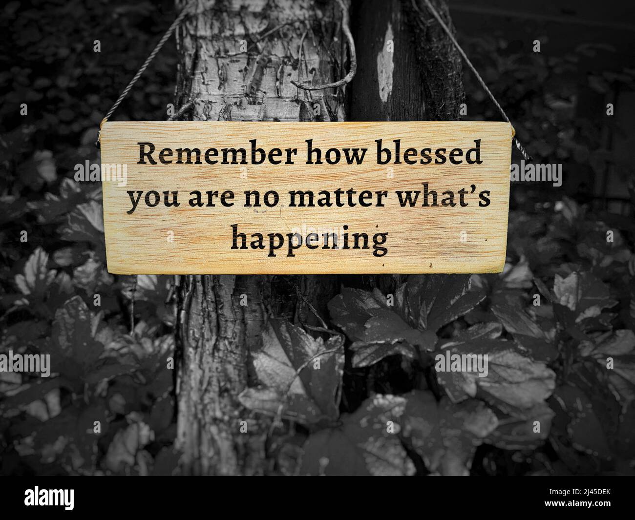 Motivational and inspirational quote text on wooden block - Remember ...