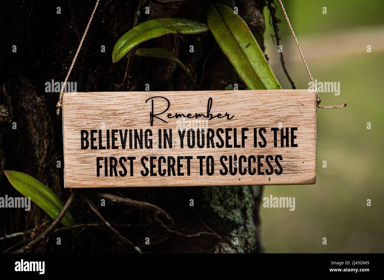 Motivational and inspirational quote text on wooden block - Believing ...