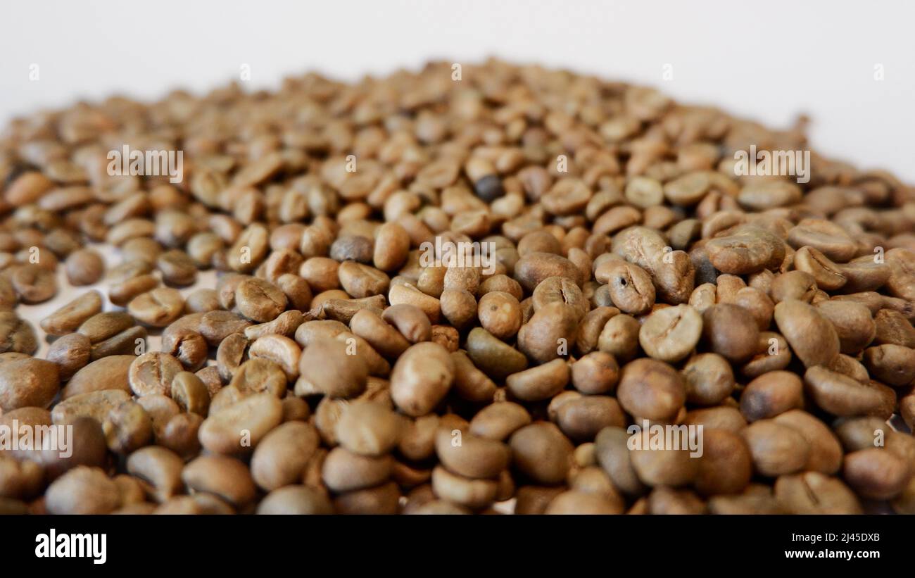 Robusta green coffee beans. raw state before roasting, Toraja Coffee ...