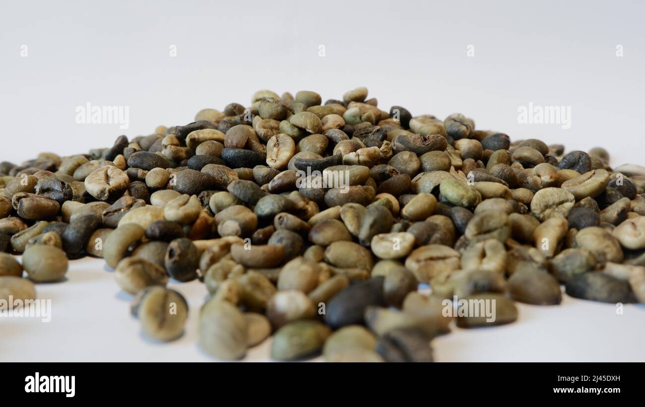 Robusta green coffee beans. raw state before roasting, Toraja Coffee ...