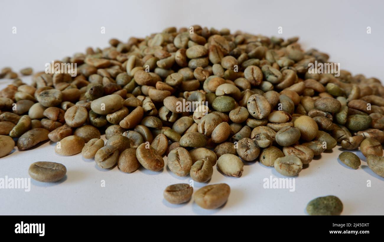 Robusta green coffee beans. raw state before roasting, Toraja Coffee ...