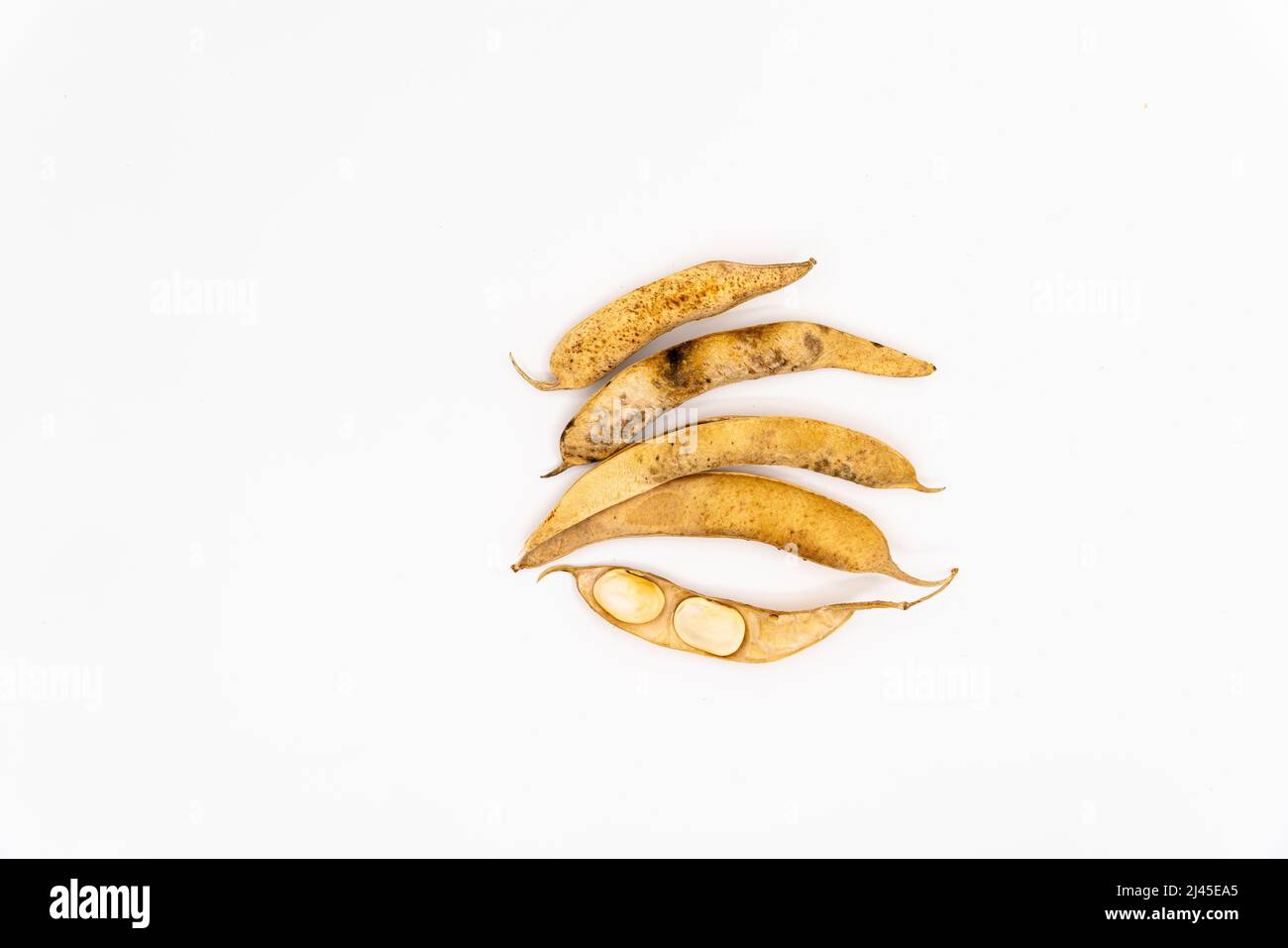 Dried beans isolated on white background. bean pods. High quality photo ...