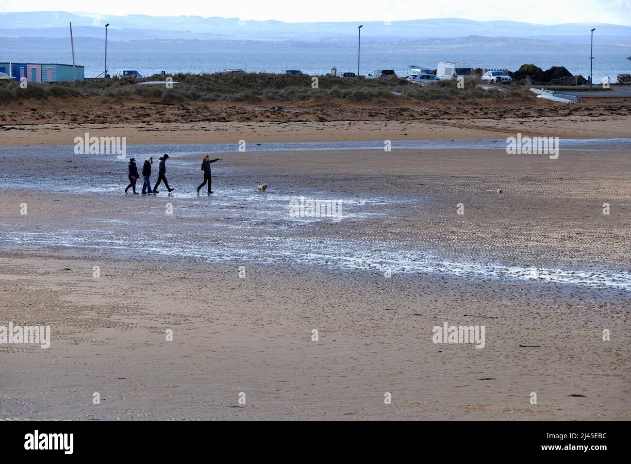 Elie Fife Scotland a coastal resort village, the tide is out and locals ...