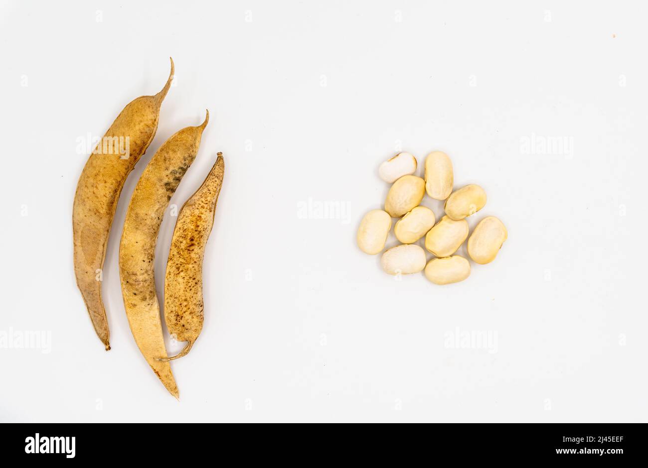 Dried beans isolated on white background. bean pods. High quality photo ...