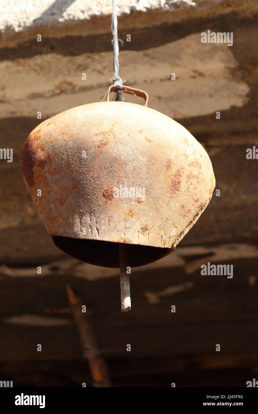 Bell for animals hi-res stock photography and images - Alamy