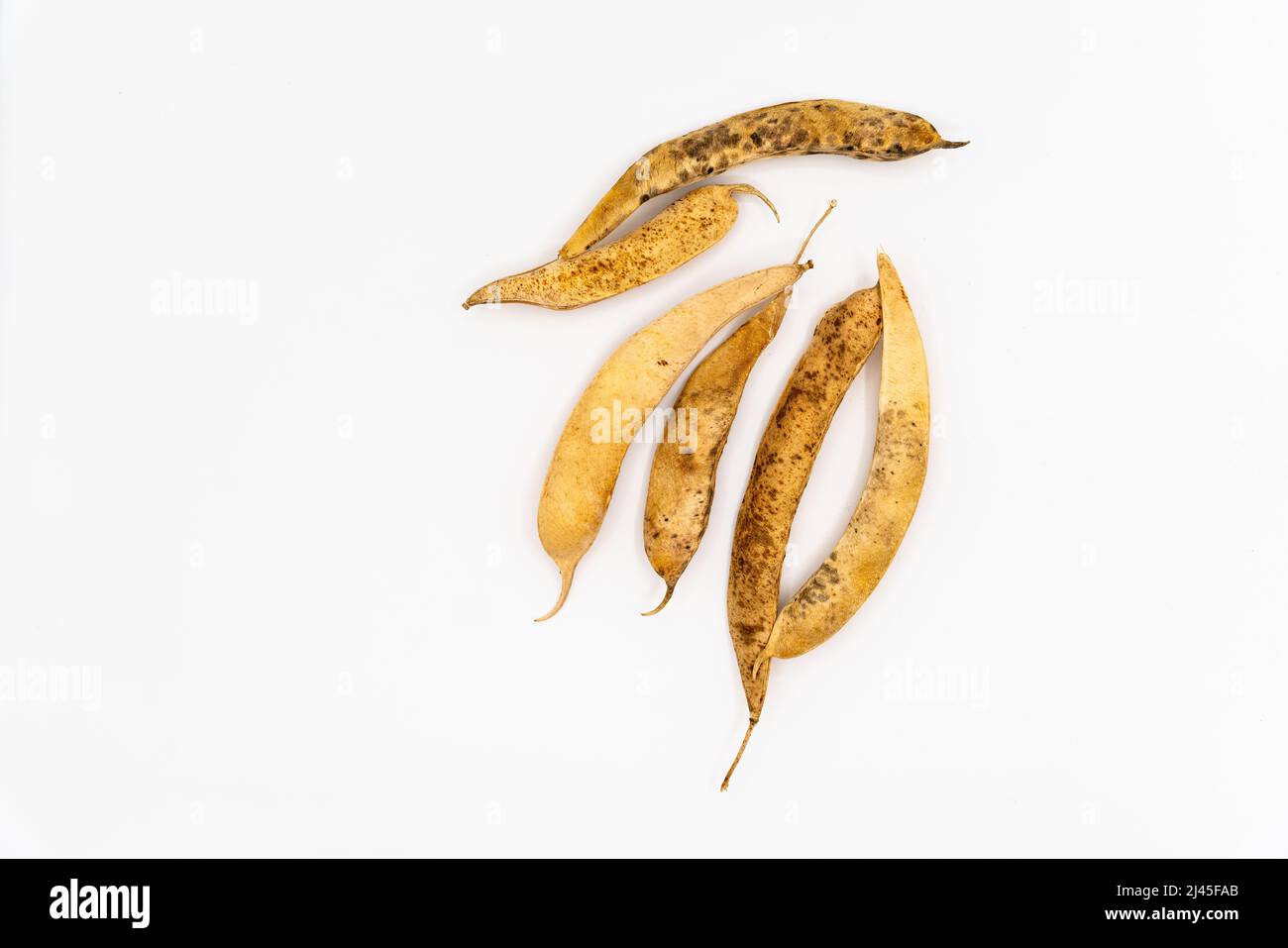Dried beans isolated on white background. bean pods. High quality photo ...