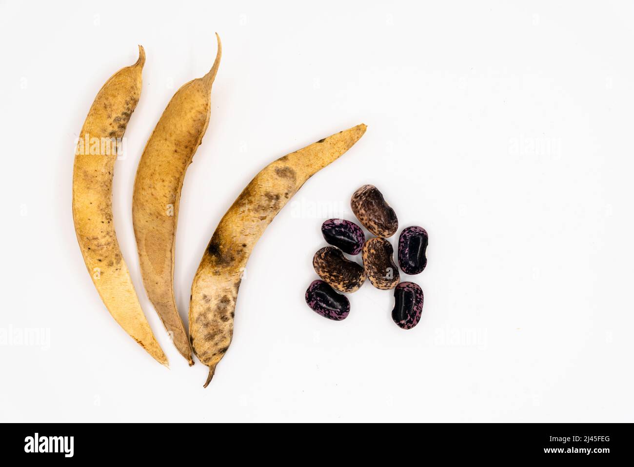 Dried beans isolated on white background. bean pods. High quality photo ...