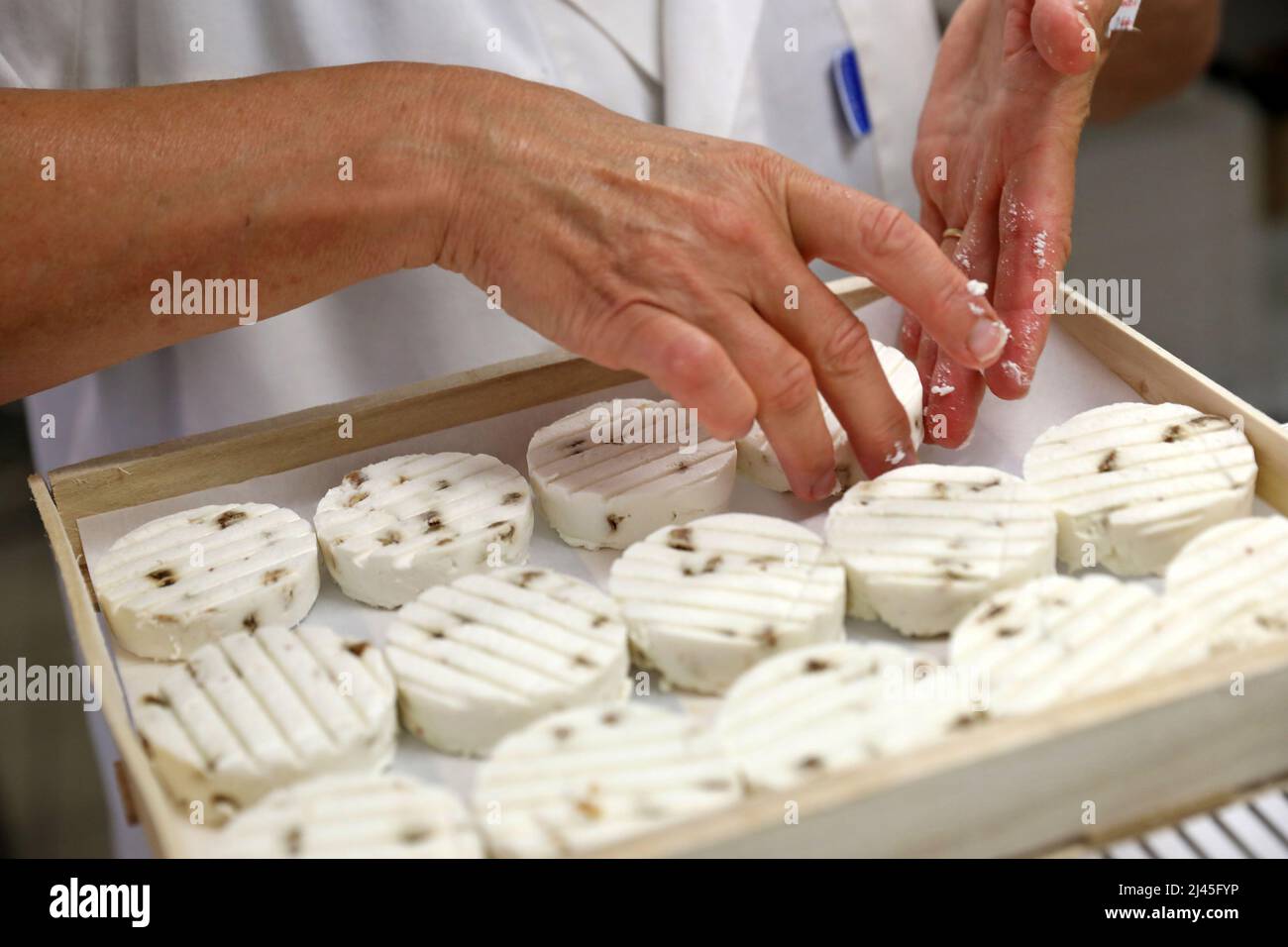 Rocamadour PDO cheese: Cabecou, unpasteurized goatÕs cheese made on a ...